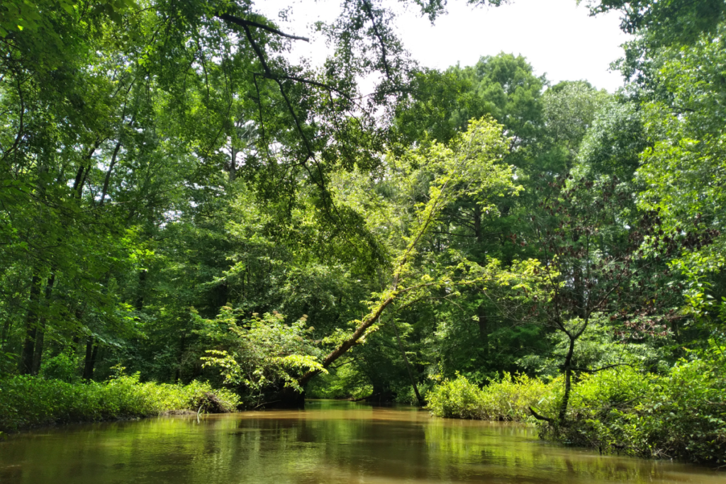 Mengenal Hantu Lulun Samak, Legenda Tanah Sunda - Media Pendidikan.co.id