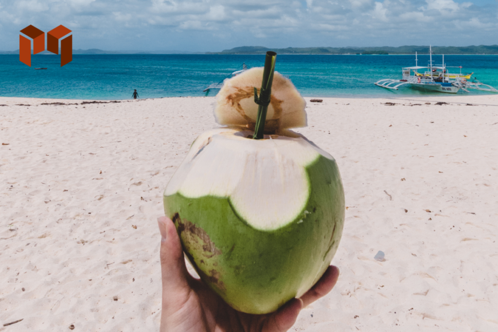 Manfaat Kelapa Hijau Untuk Kesuburan dan Promil - Media Pendidikan